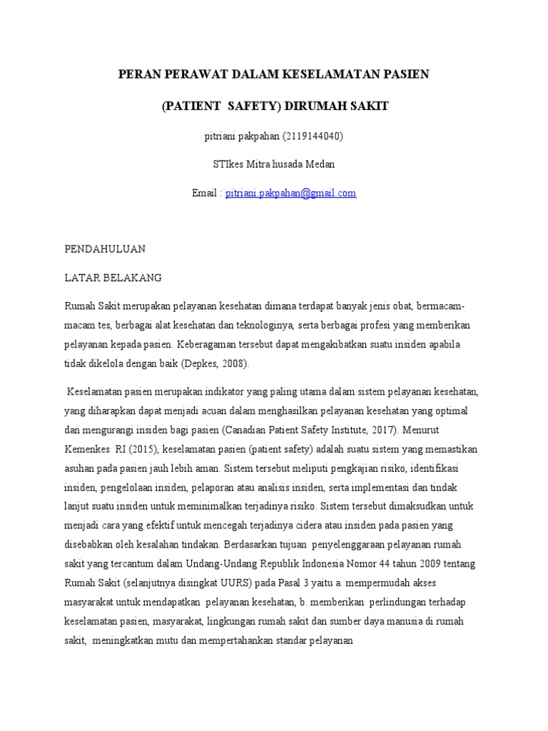 PERAN PERAWAT | PDF