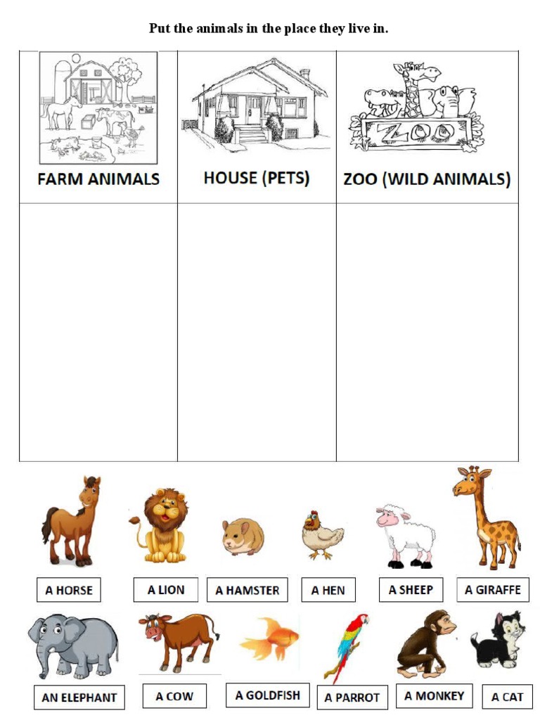 Stick The Animals With The Place They Live in | PDF