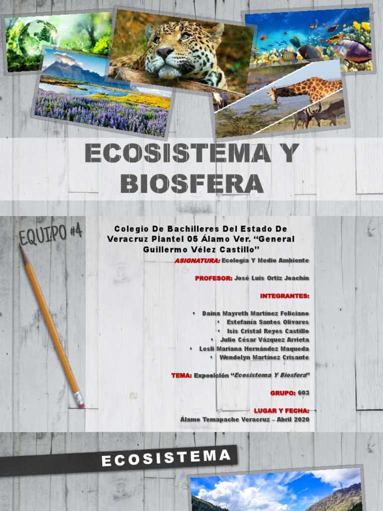 Ecosistemas y Biomas: Una Guía | PDF | Tierra | Ecosistema