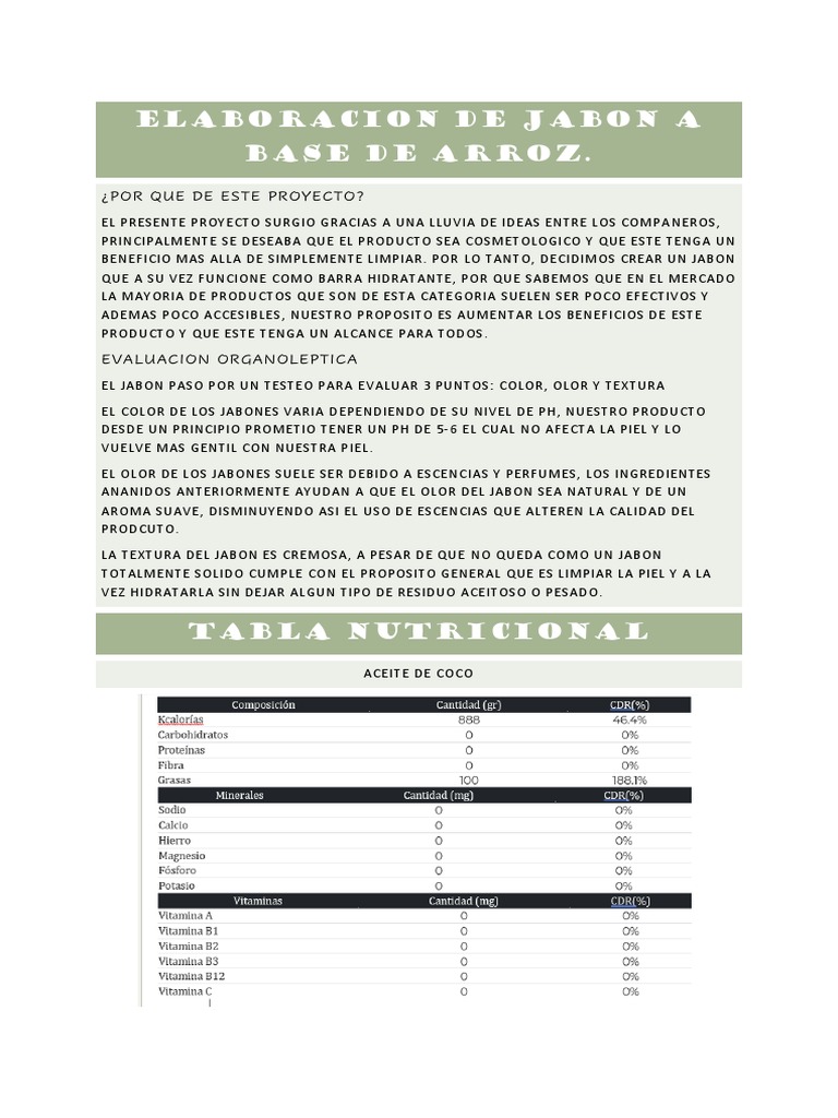 Elaboracion de Jabon A Base de Arroz | PDF