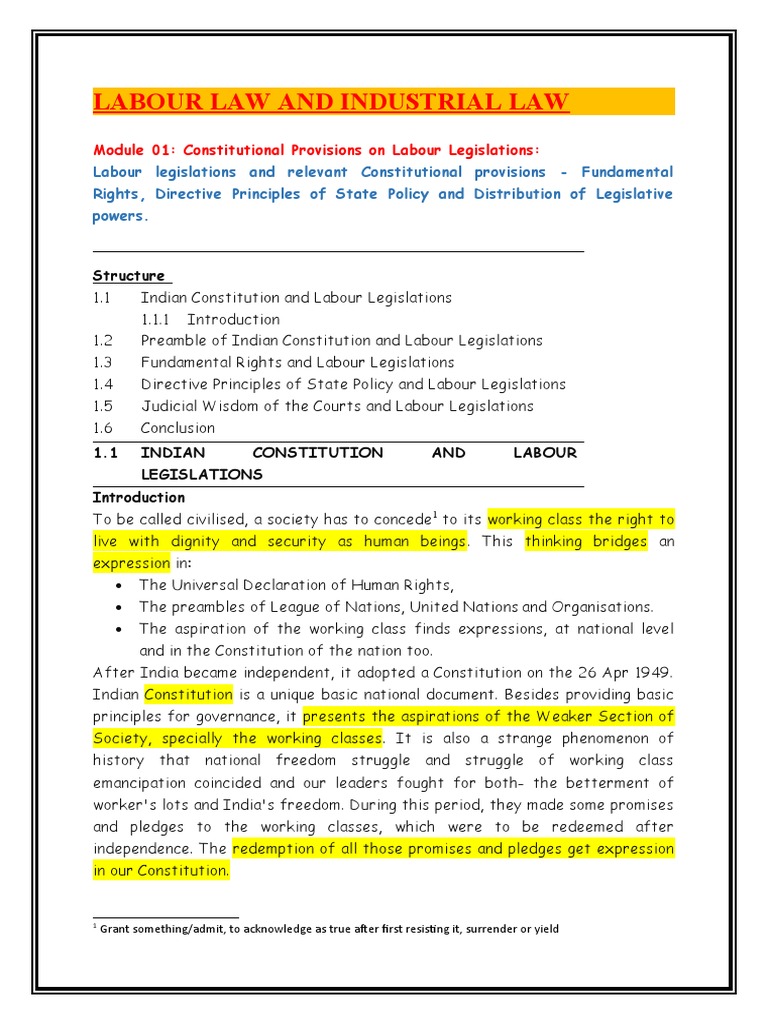 Labour Law and Industrial Law NOTES | PDF