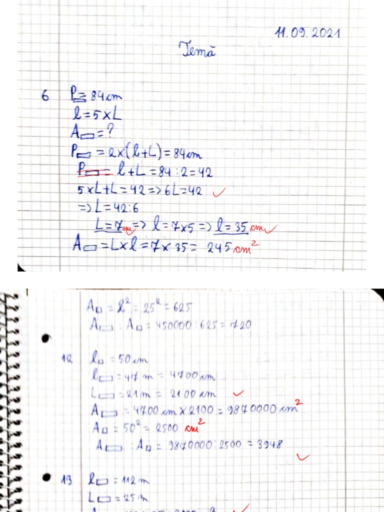 Tema Andrei 19.09.pdf Corectat | PDF