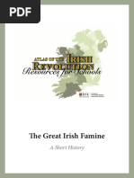 1916 Irish Republic Proclamation Text | PDF | British Isles | Easter Rising
