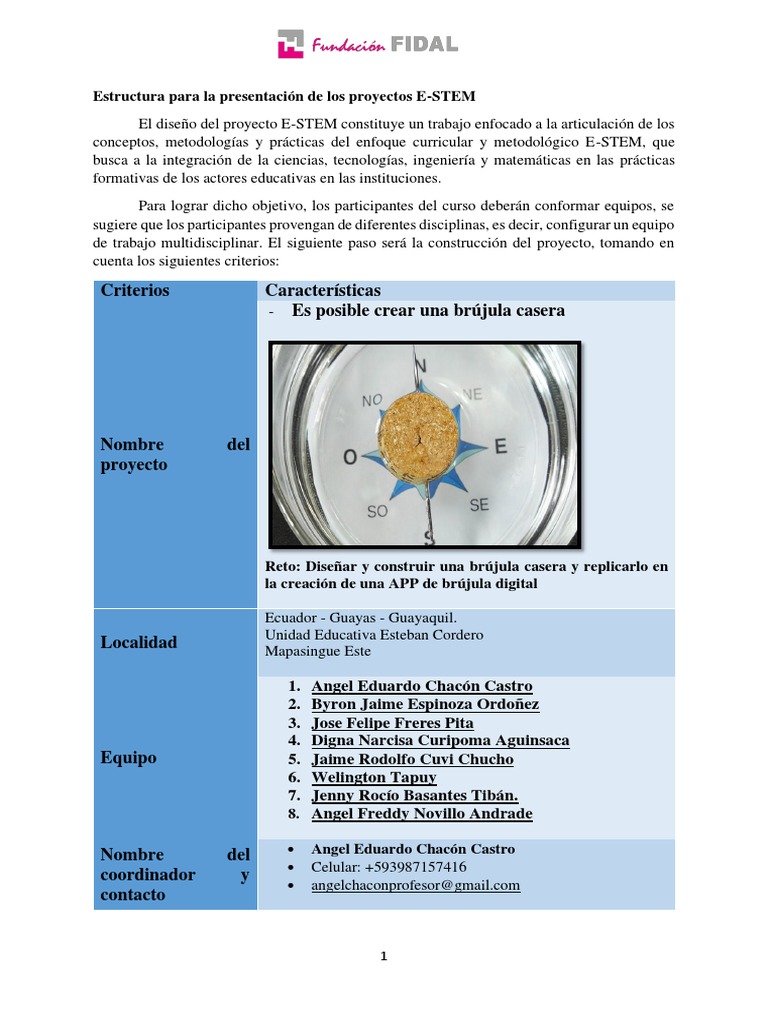 Estructura para La Presentación de Los Proyectos STEM | PDF | Imán | Magnetismo