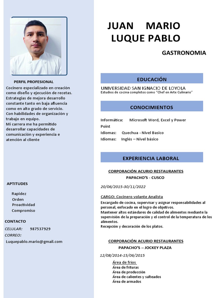 CV Mario | PDF | Artes culinarias