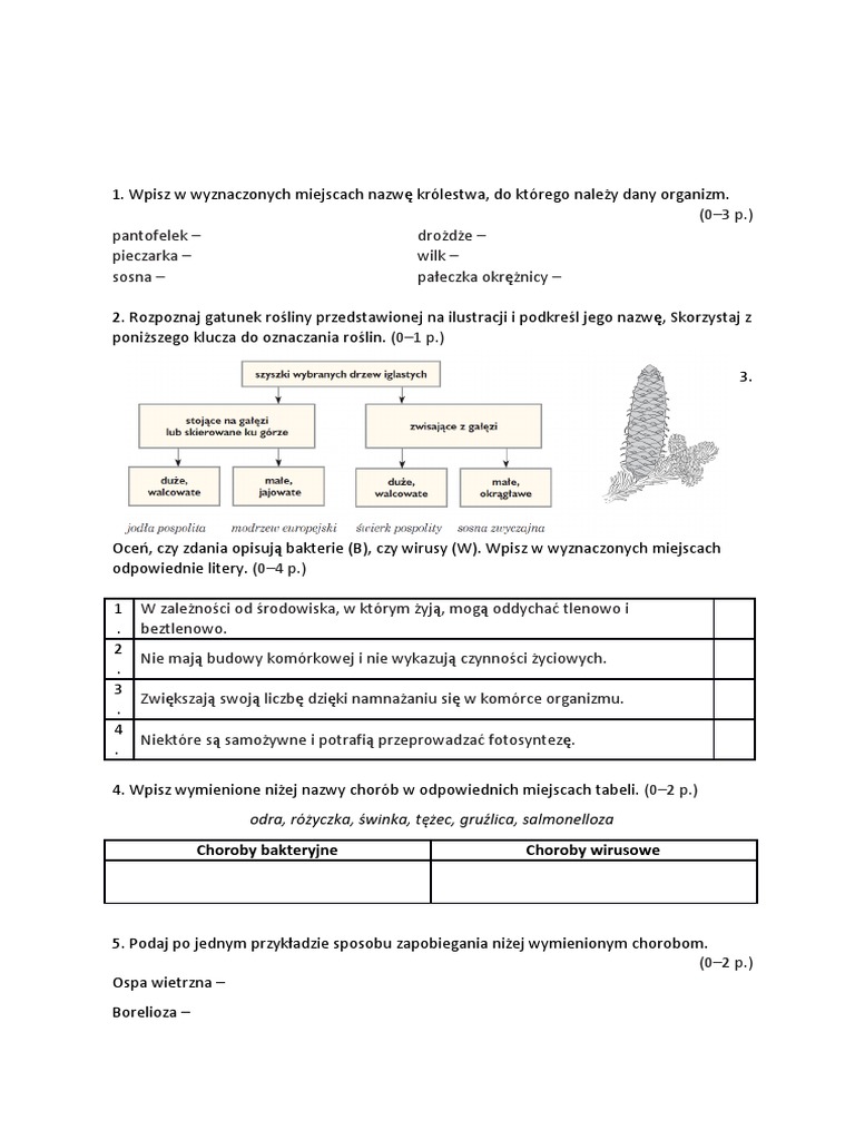 Test Wirusy Bakterie Protisty I Grzyby | PDF Test Wirusy Bakterie Protisty I Grzyby | PDF
