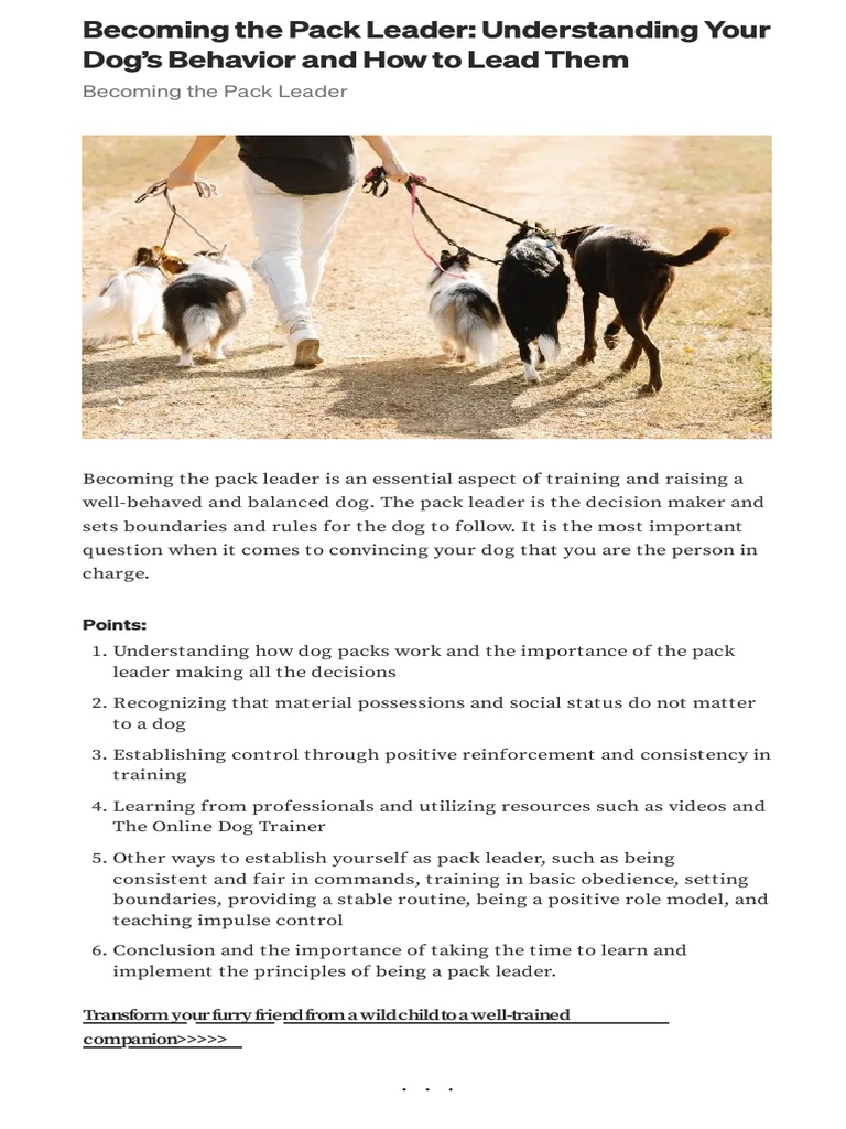Becoming The Pack Leader: Understanding Your Dog's Behavior and How To ...