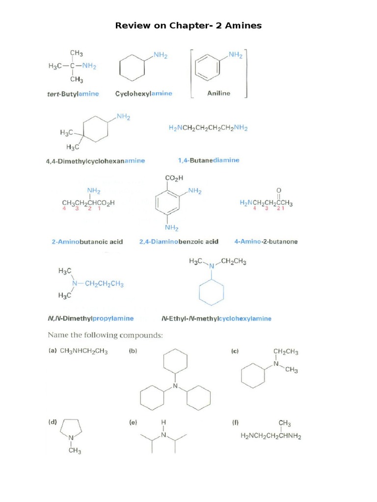 Worksheet For Amines | PDF