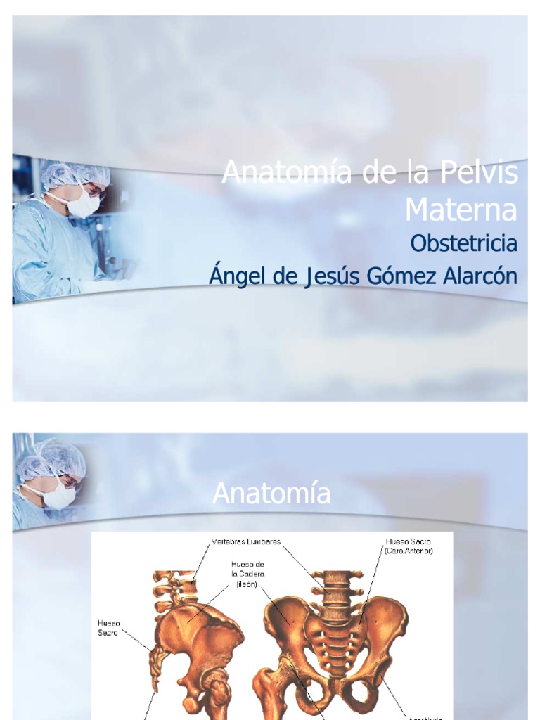 Anatomía de la Pelvis Materna