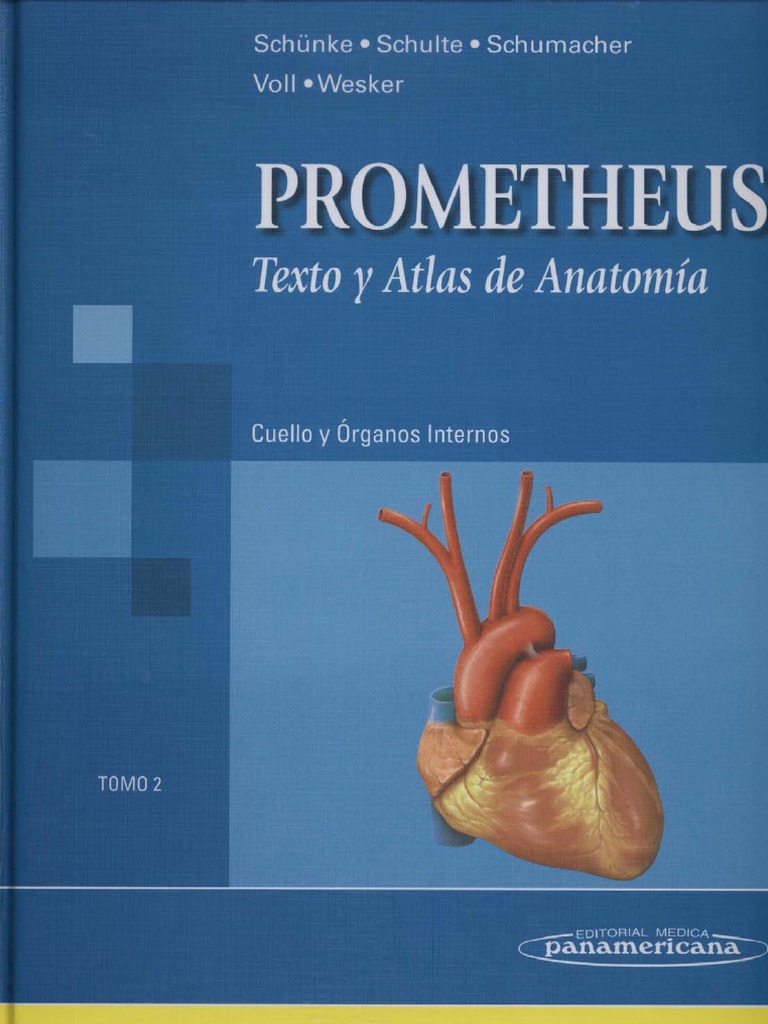 Anatomía Prometheus Tomo 2 | PDF | Wellness | Lifestyle