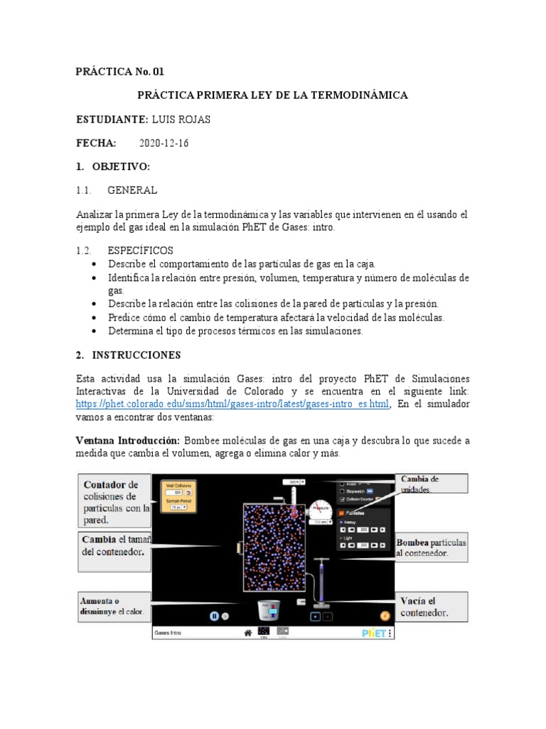Práctica Primera Ley | PDF | Gases | Temperatura