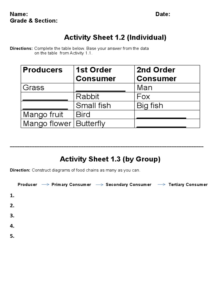 Activity Sheet Food Chain | PDF | Foods | Ecology