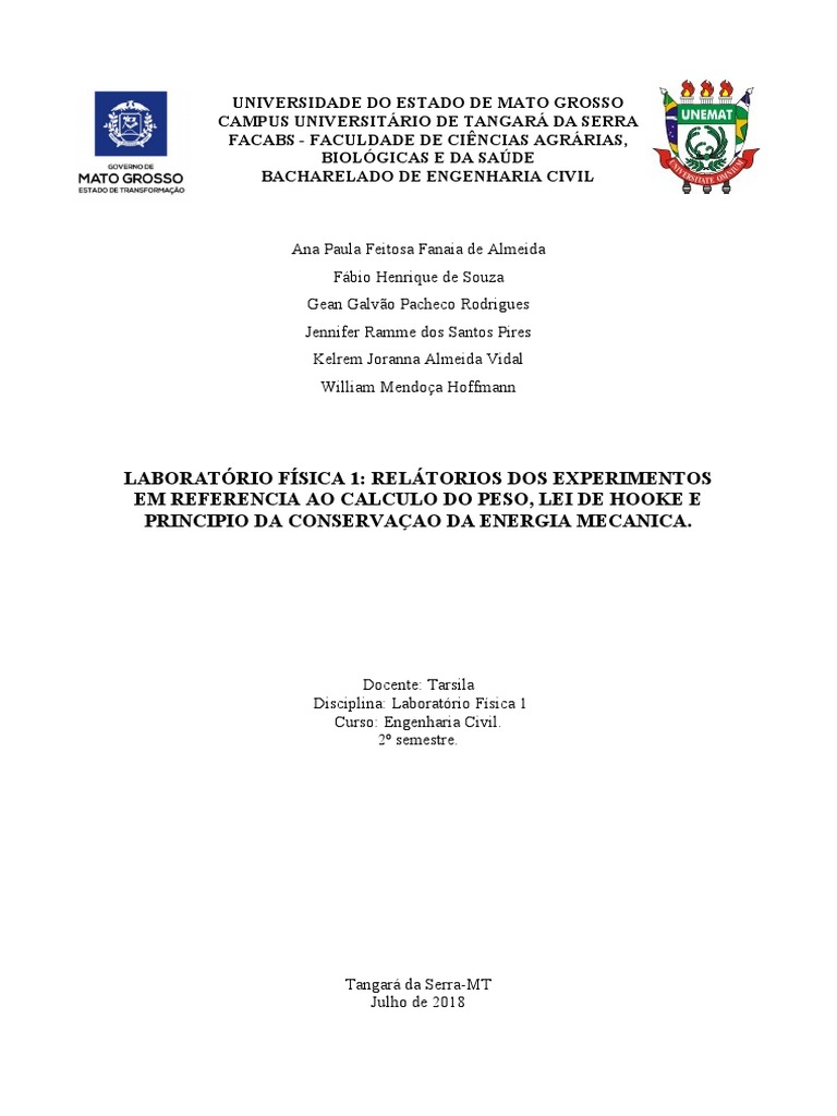 RELATORIO 2 LAB FISICA - Sumario | PDF