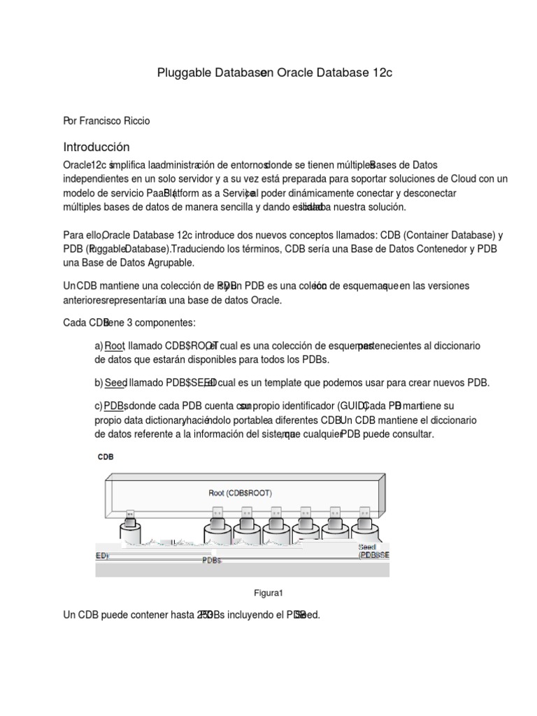 Pluggable Database Oracle Database 12c | PDF
