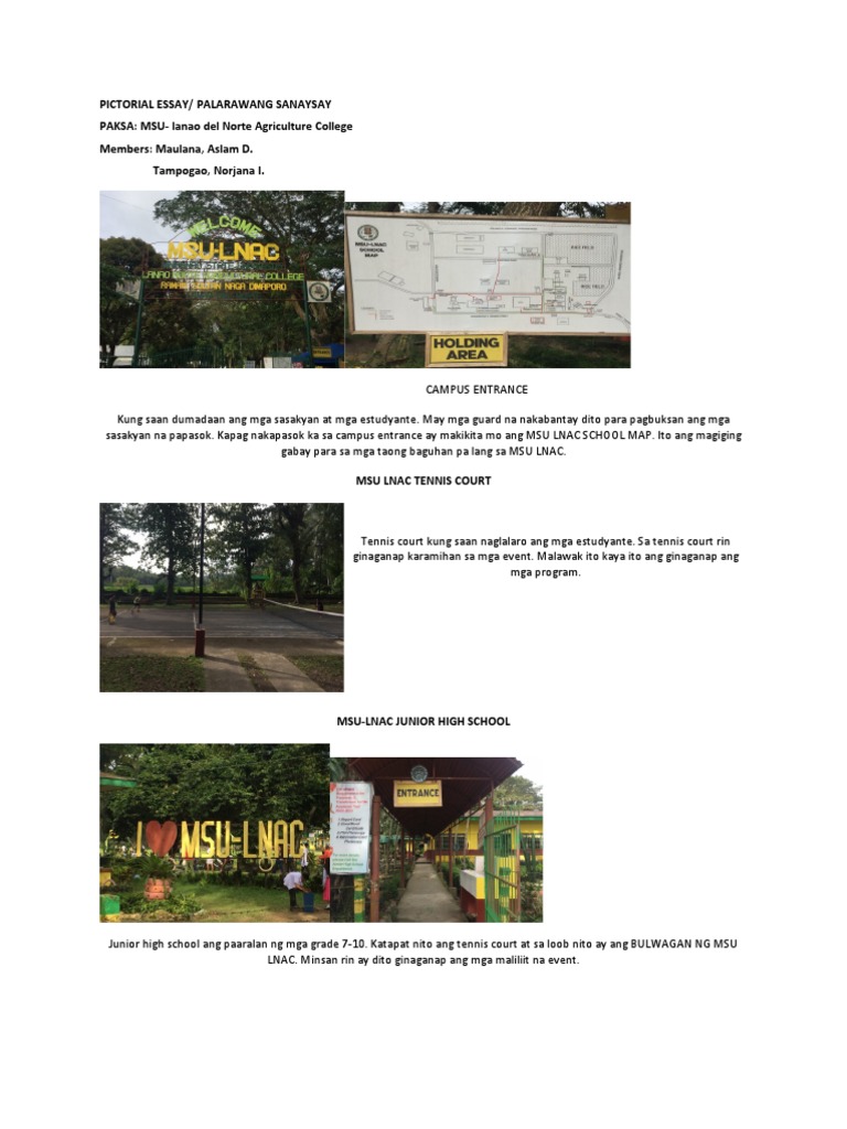 Pictorial Essay | PDF