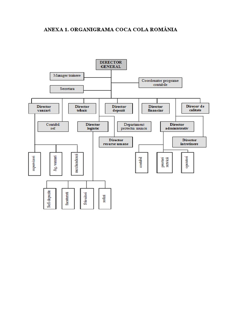 Anexe COCA-COLA | PDF
