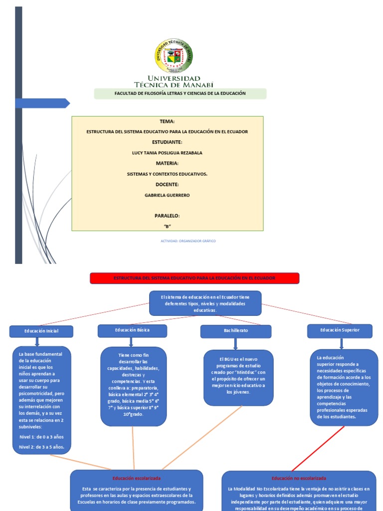 Organizador Gráfico | PDF | Educación de la primera infancia | Aprendizaje