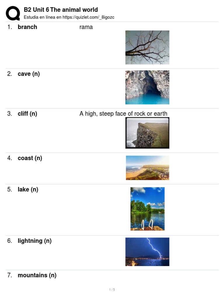 B2 Unit 6 The Animal World | PDF