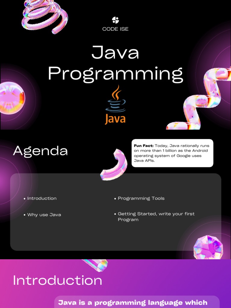 Introduction to Java Programming: A Beginner's Guide | PDF | Java ...