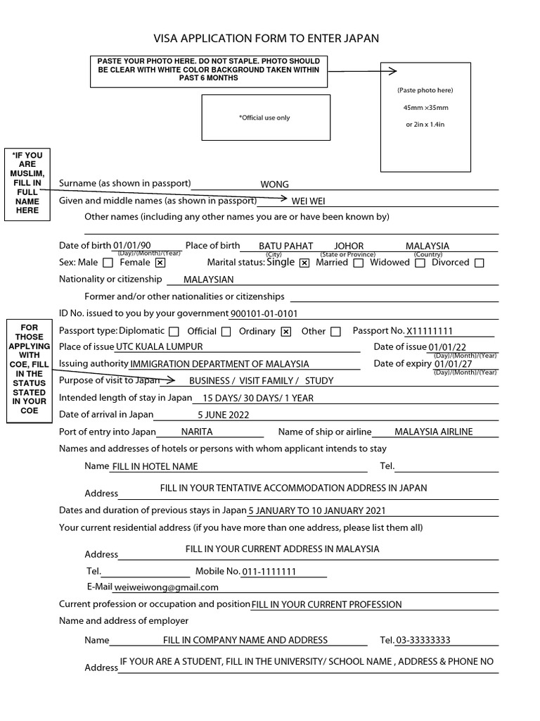 Visa Application Form (Sample） 签证申请表格 (例子) | PDF | Travel Visa | Passport