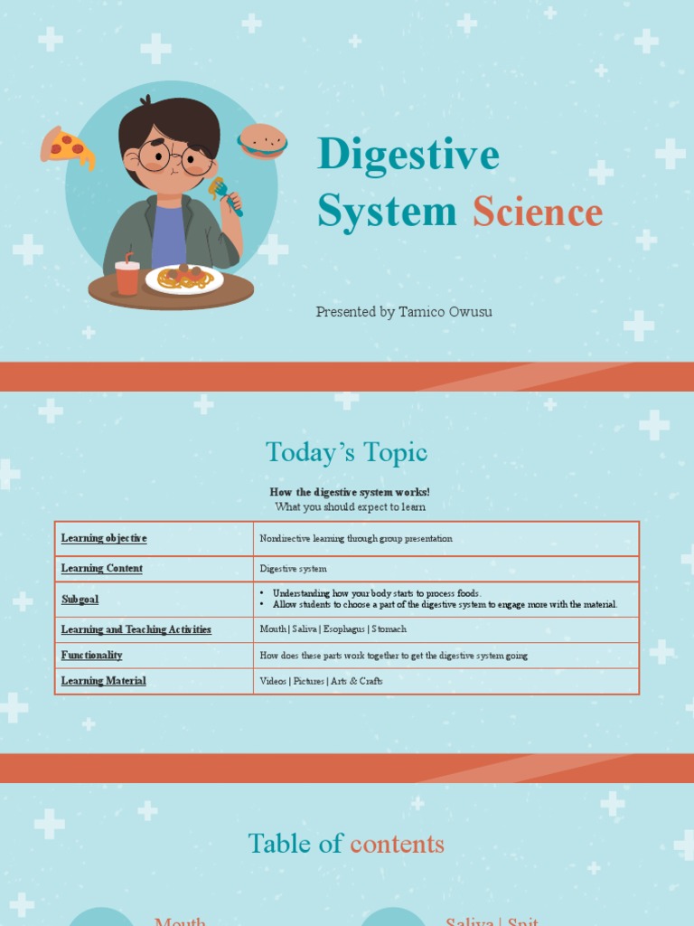 Digestive System Workshop For Kids by Slidesgo | PDF | Human Digestive ...