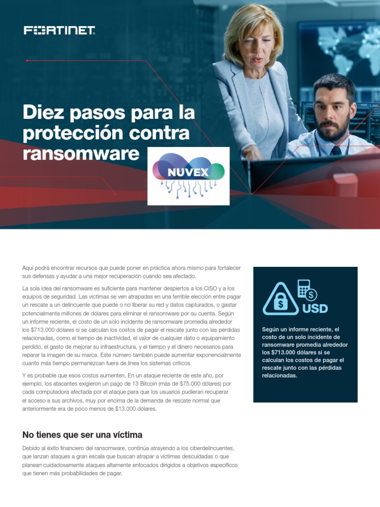 Flyer 10 Pasos para La Proteccion Contra Ransomware ES | PDF ...
