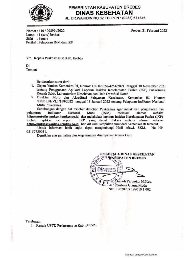 Pelaporan INM Dan IKP | PDF