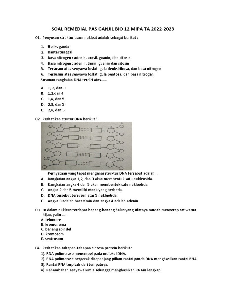 Soal Remedial Pas Ganjil Bio 12 Mipa 2022 | PDF