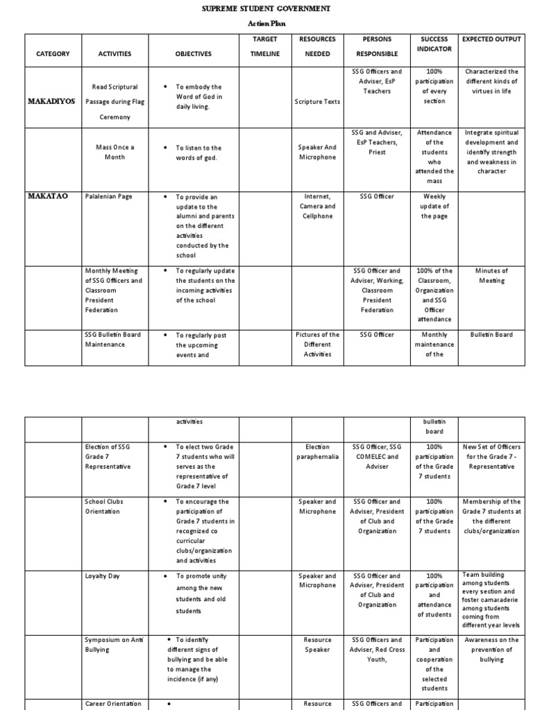 ssg-action-plan-pdf
