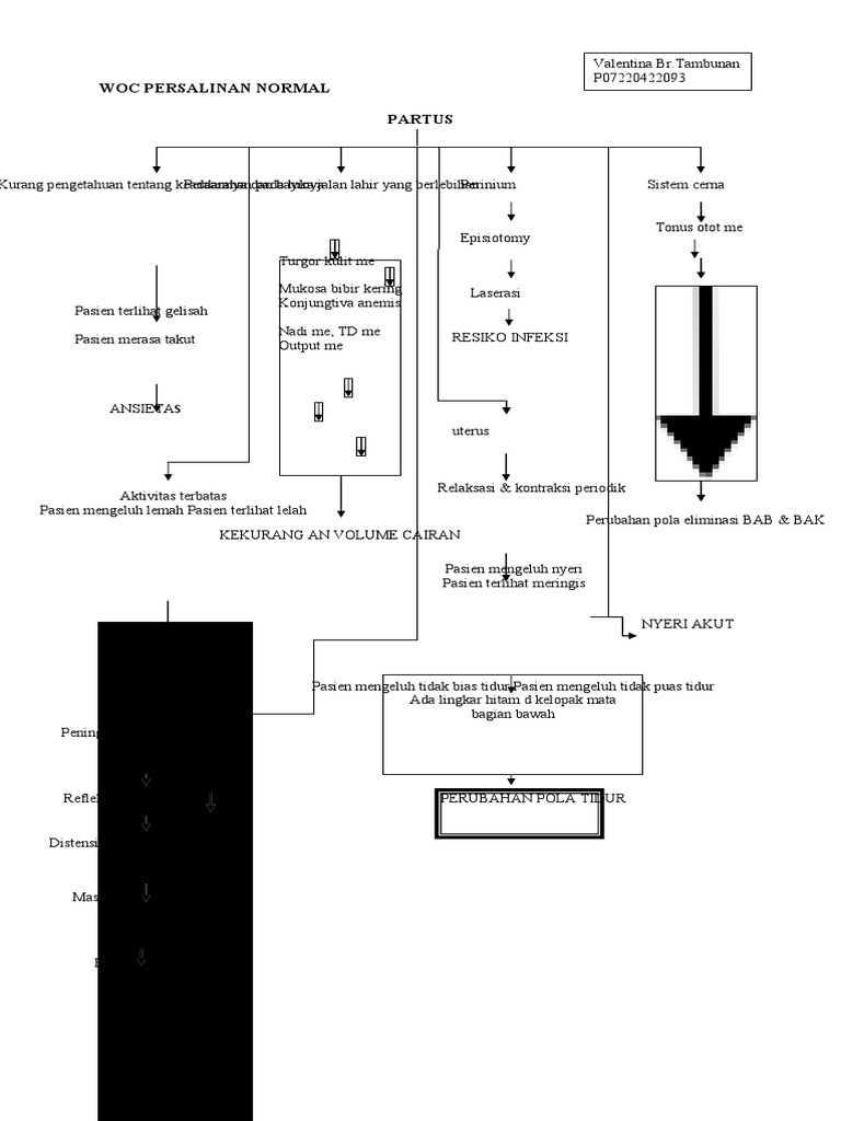 WOC Persalinan Normal | PDF