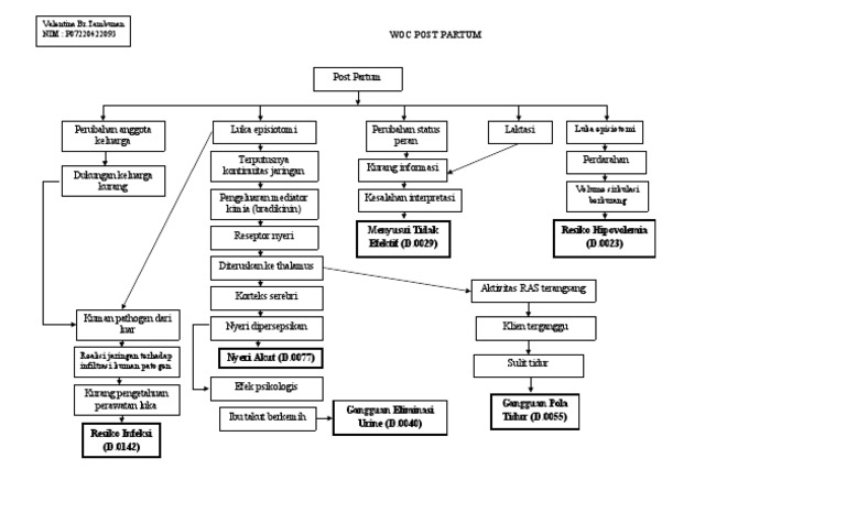 WOC Post Partum | PDF