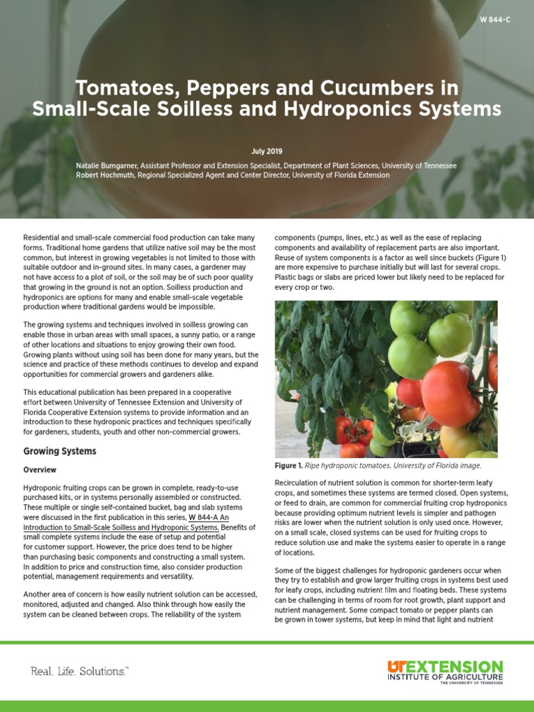 Tomatoes, Peppers and Cucumbers in Small-Scale Soilless and Hydroponics Systems | PDF ...