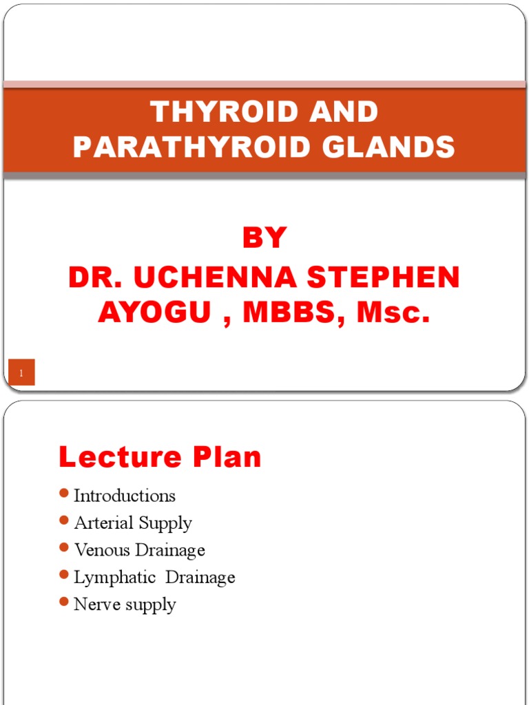 Anatomy of The Thyroid and Parathyroid Glands | PDF