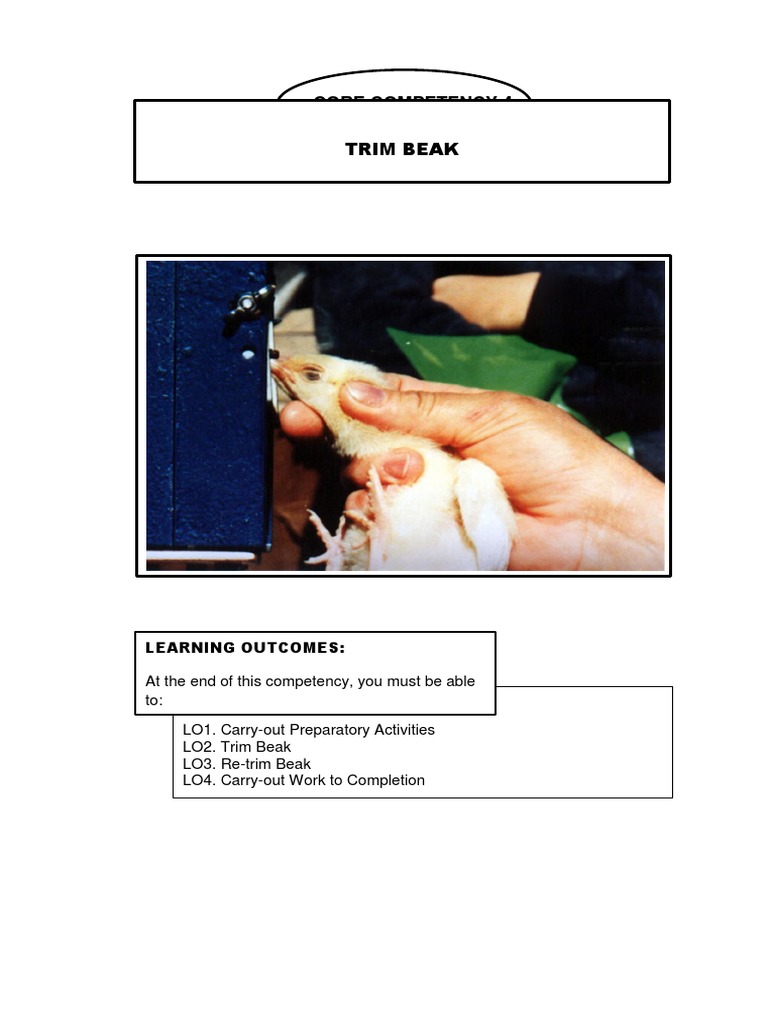 4 Trim Beak | PDF