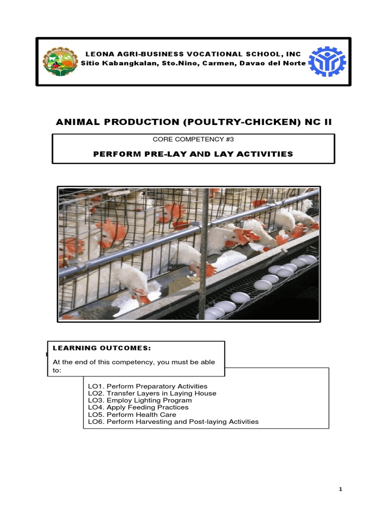 3 Pre Lay and Lay Activities | PDF