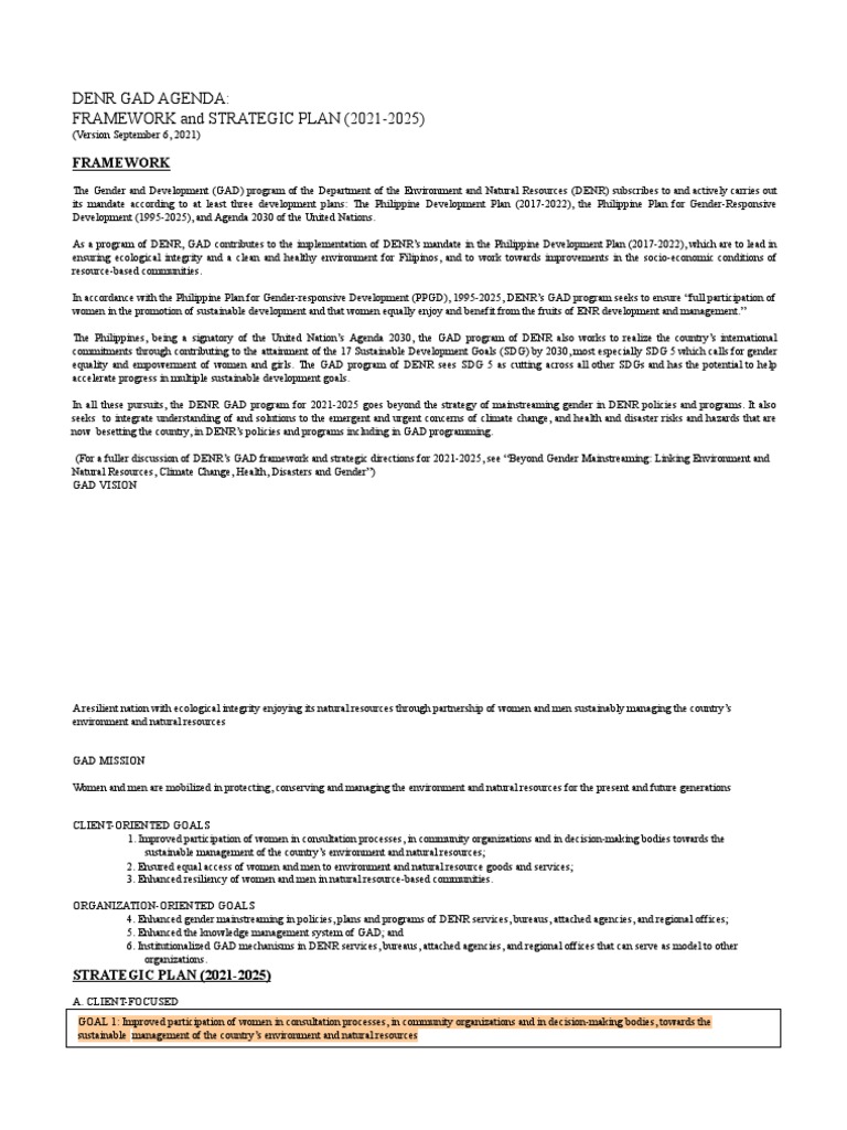 DENR GAD Agenda Framework and Strategic Plan 2021-2025 | PDF ...