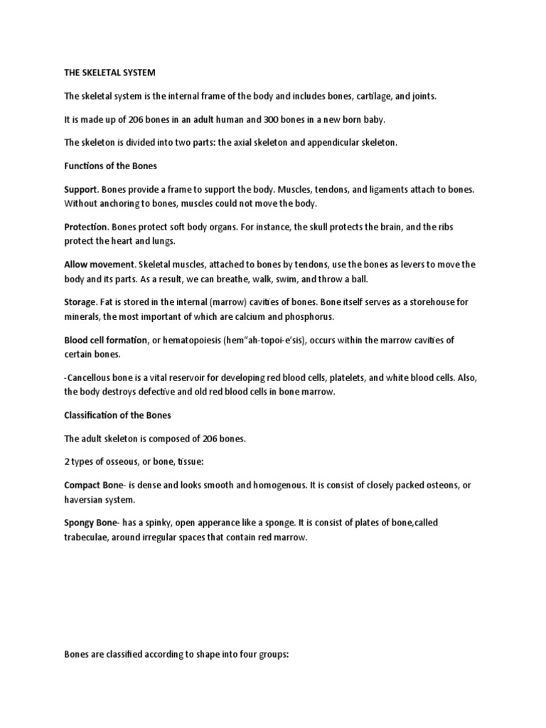 THE SKELETAL SY-WPS Office | PDF | Bone | Skeleton