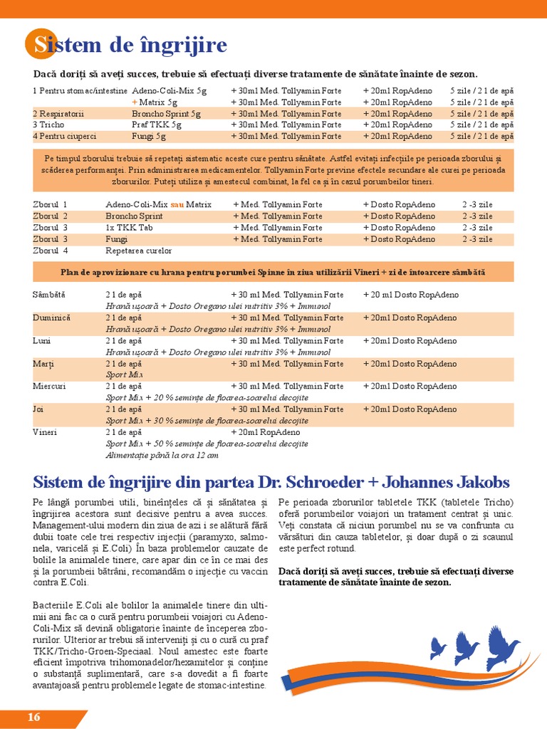 Tollisan Vet Schroeder | PDF