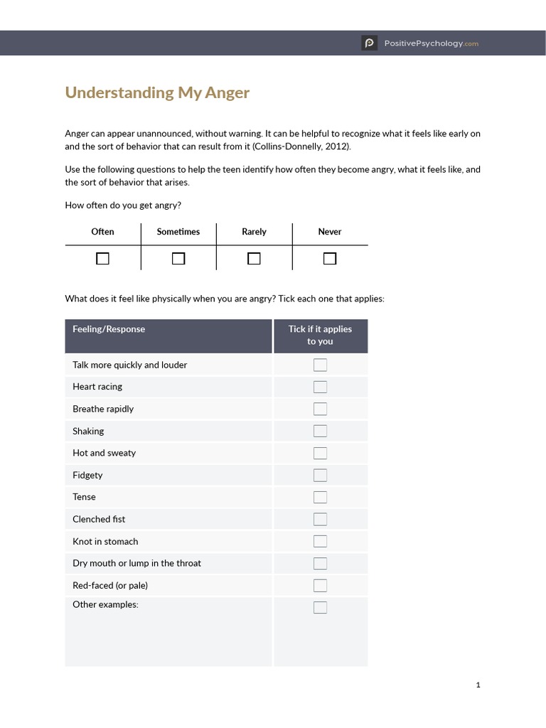 Understanding My Anger | PDF | Anger | Emotions