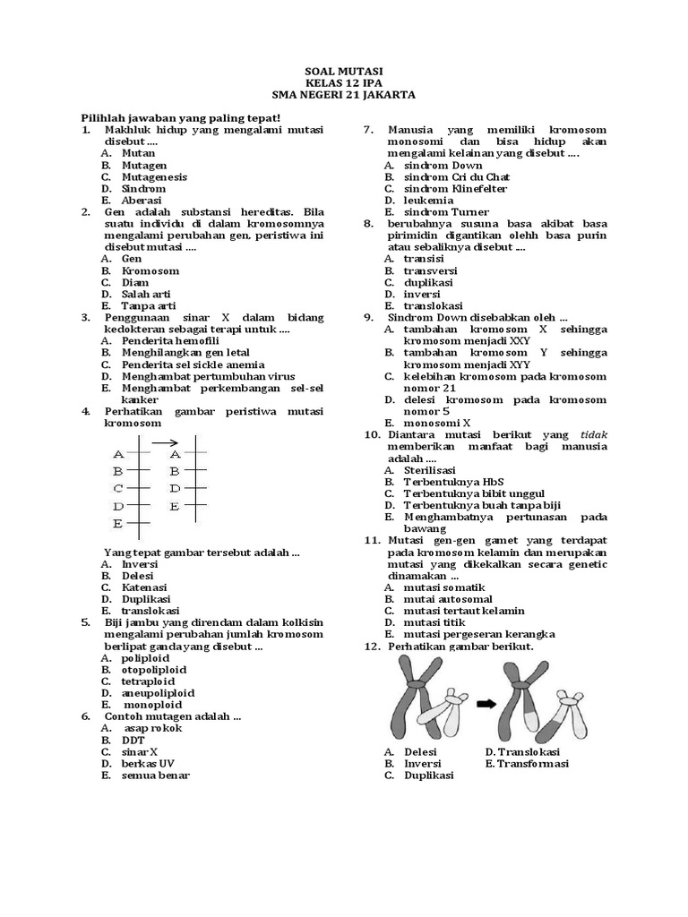 Soal Mutasi | PDF