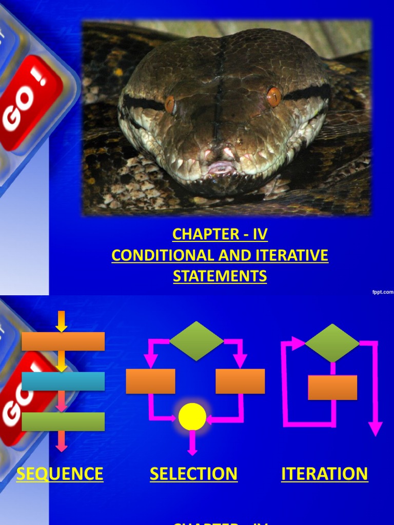 Chapter 9 Conditional and Iterative Statements | PDF Chapter 9 Conditional and Iterative Statements | PDF