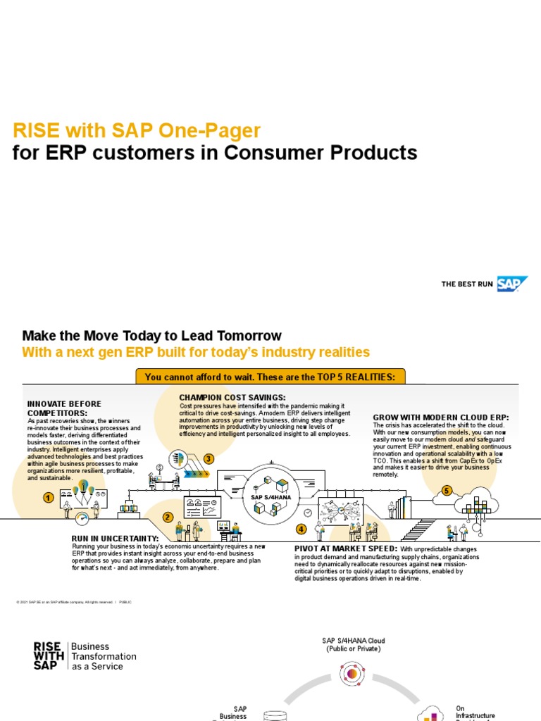 Sap Rise Consumer Product | PDF