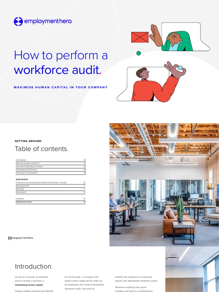 Your Guide To Performing A Workforce Audit 1 | PDF | Analytics | Employment