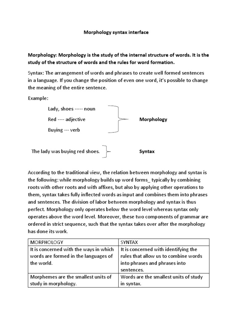 Morphology Syntax Interface | PDF