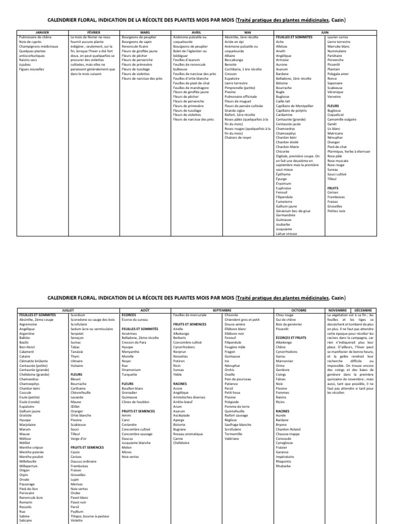 Calendrier de Récolte | PDF | Herbes et champignons médicinaux ...