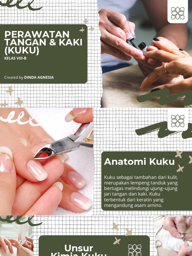 Pertemuan 6 (PTDK Kuku) | PDF