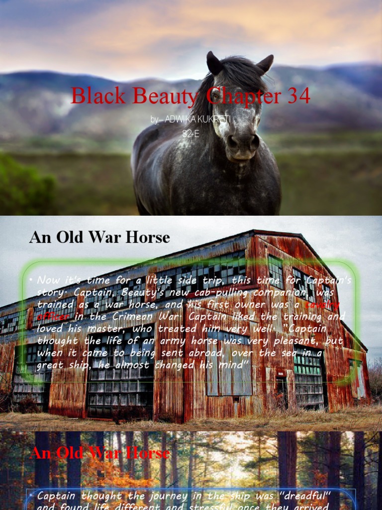 Black Beauty: Captain's War Story | PDF