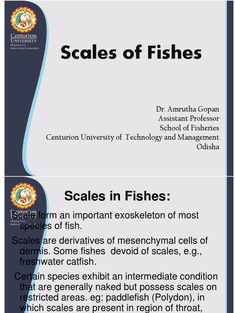 Session 2 Scales of Fishes | PDF
