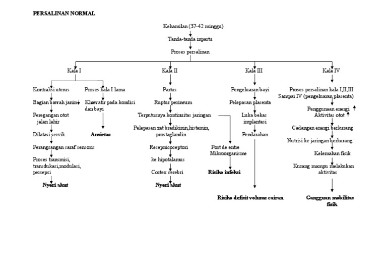 Pathway Persalinan Normal | PDF