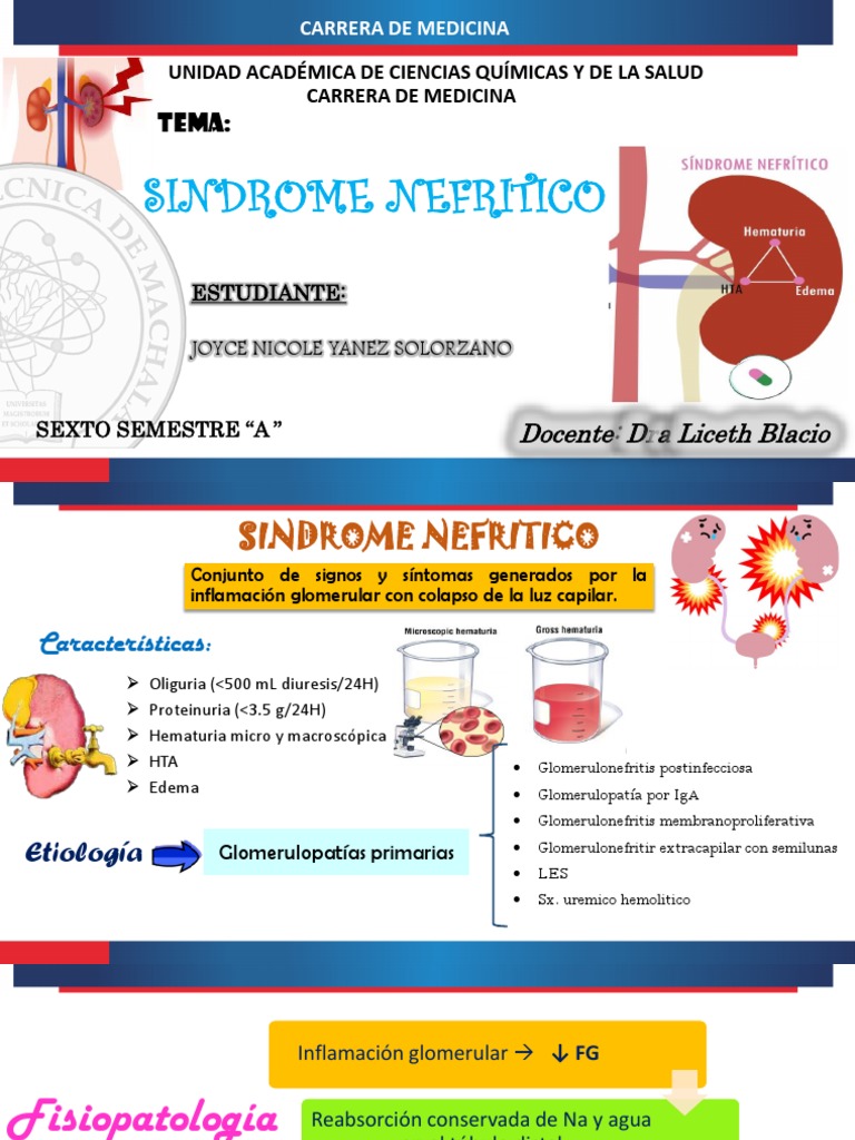 Síndrome nefrítico: Características, etiología y tratamiento | PDF ...